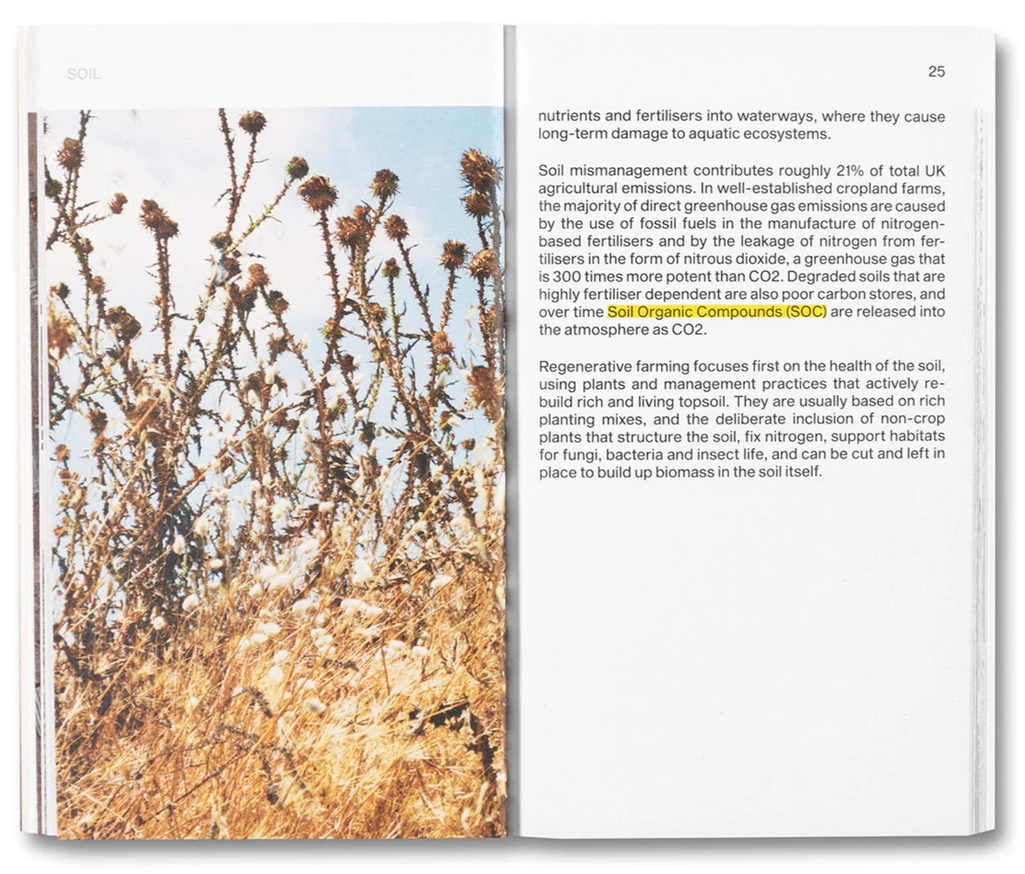 Amica Dall - Material Cultures: Material Reform [Second Edition ...