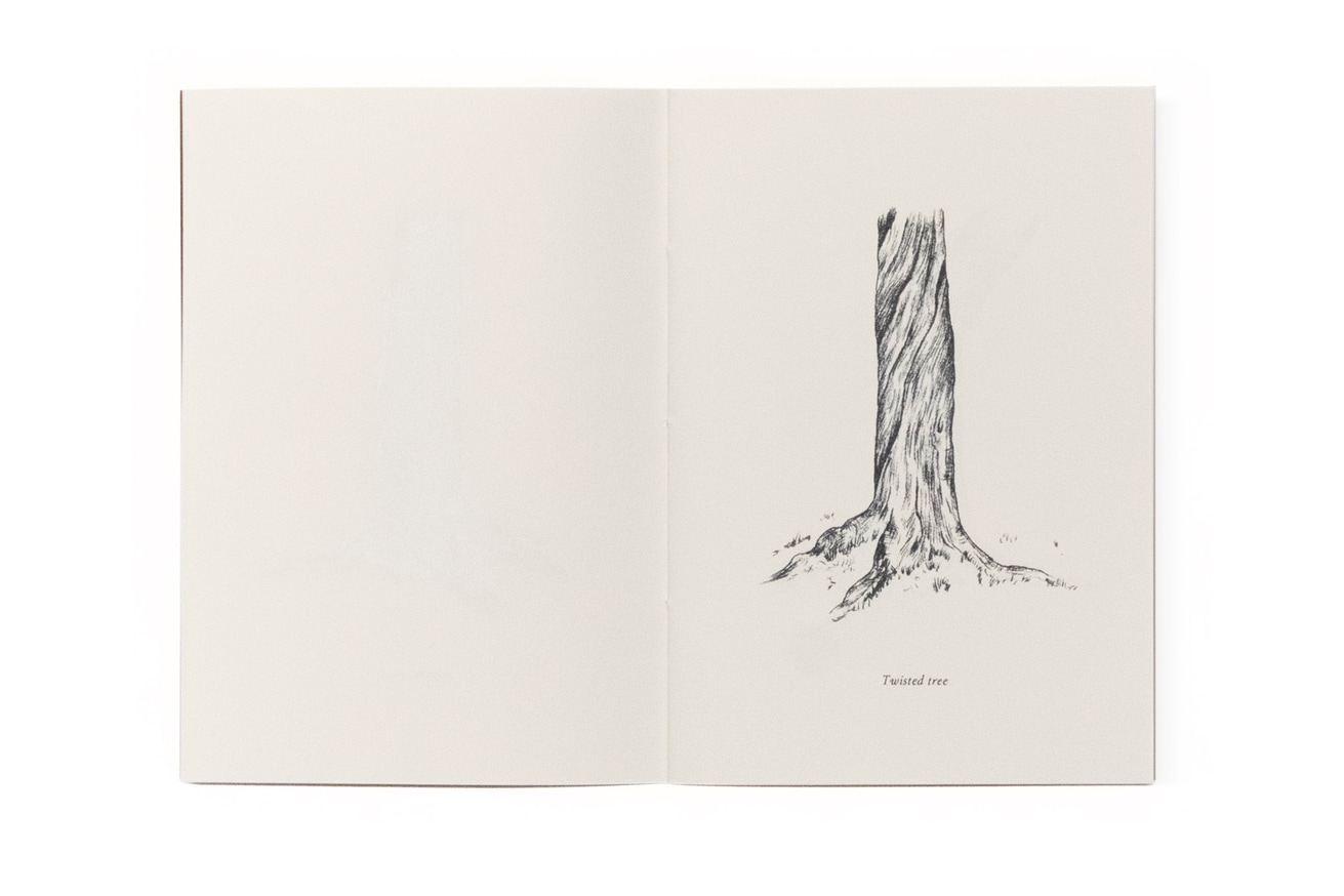 Samuel Forest - Trees of America - Printed Matter