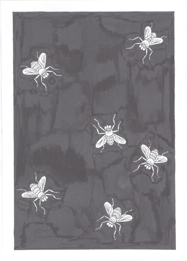 James Unsworth - Flies - Printed Matter