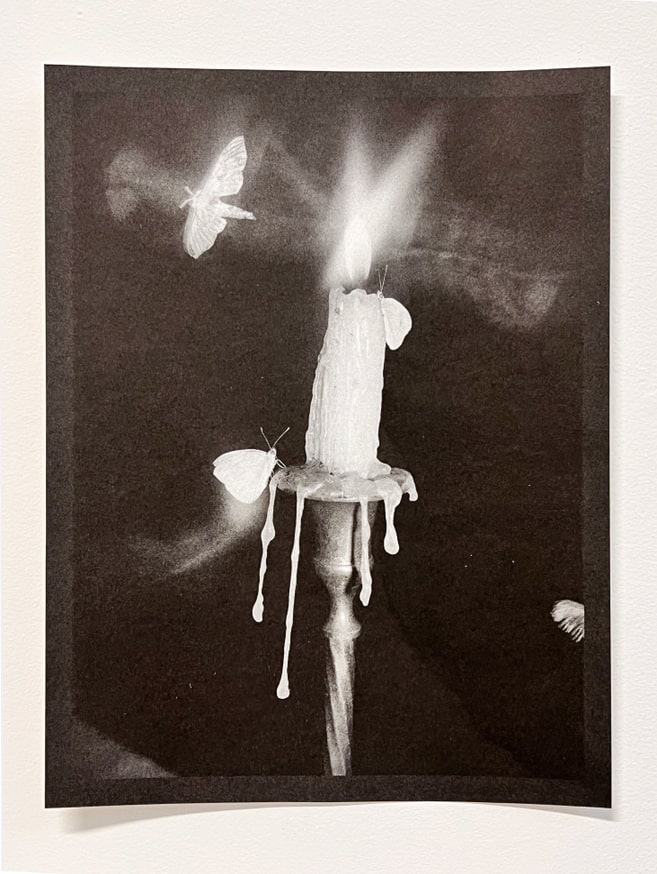 Pia-Paulina Guilmoth - girl pill 6mg (moth print) - Printed Matter