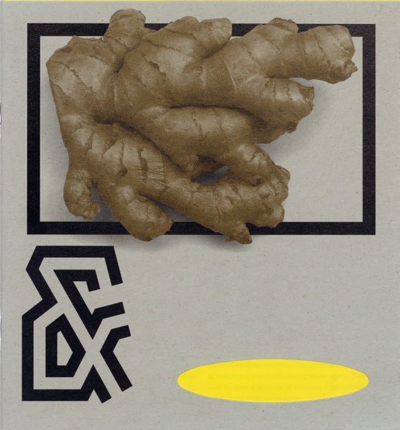 Maxine Kopsa and Marc Hollenstein - Ginger&Piss - Printed Matter