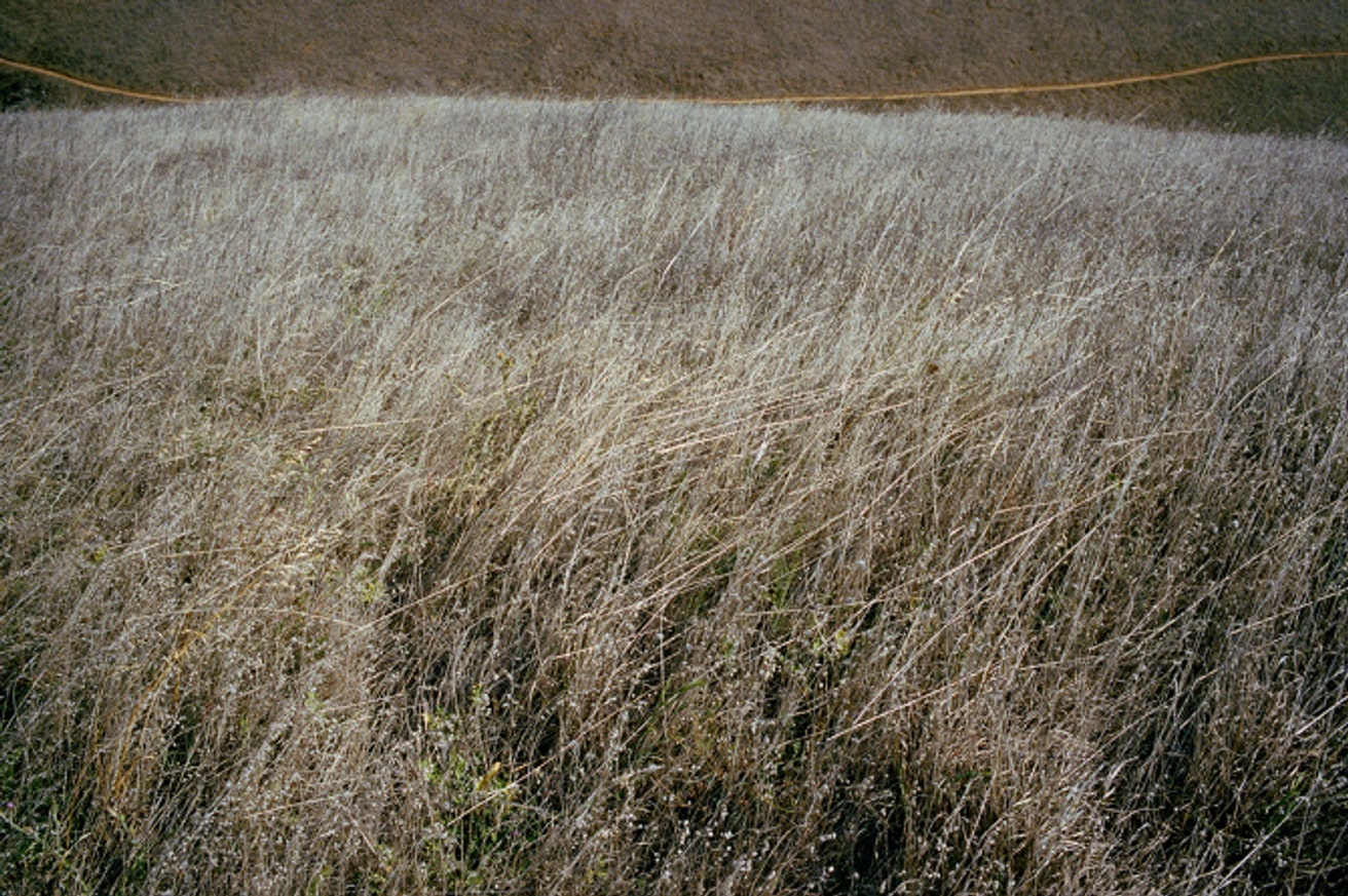 Hannah Karsen - Although I Have Never Been Here Before and Know Nothing ...