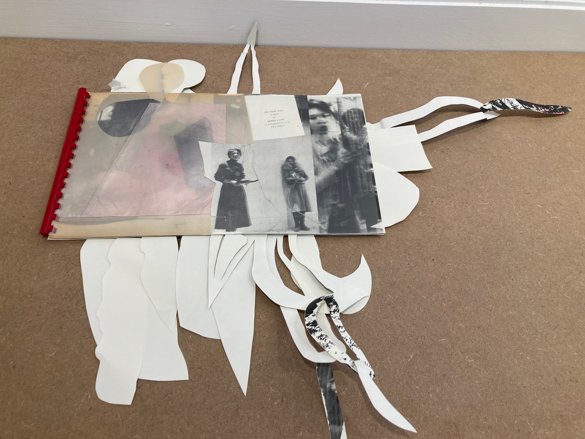 Coco Gordon and Barbara Roux - Cut Book (The Opaque Glass : A Poem by ...