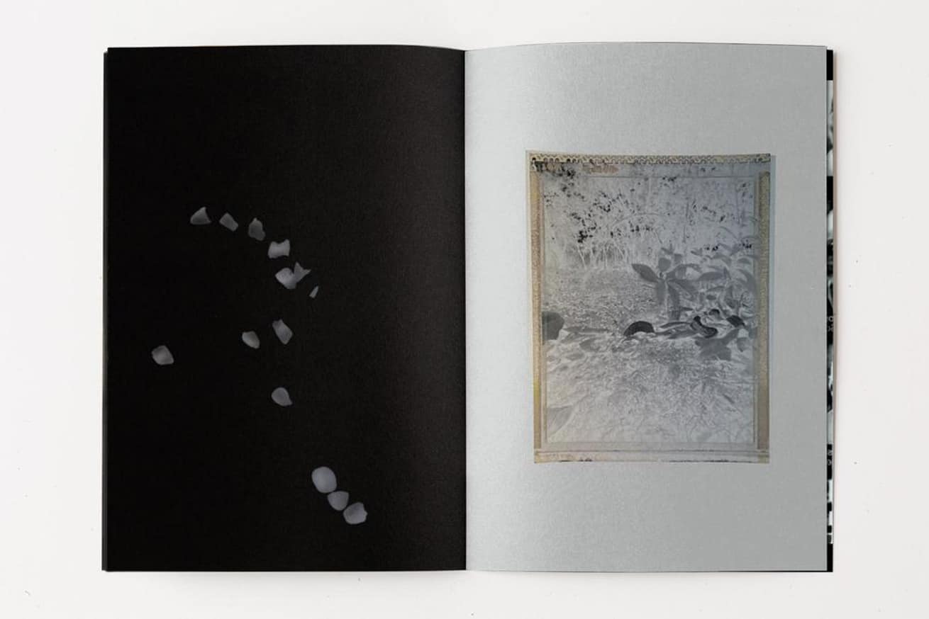 Muriel Hasbun - Pax Tecum Filomena: Una Canción Para Ti - Printed Matter