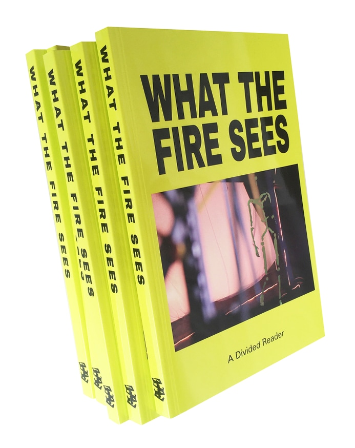 Divided Publishing - What the Fire Sees – A Divided Reader - Printed Matter
