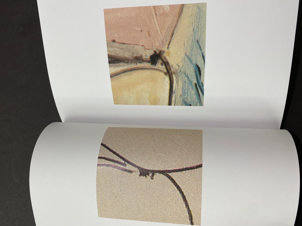 Jonas Kyle - PIcasso's Assholes - Printed Matter