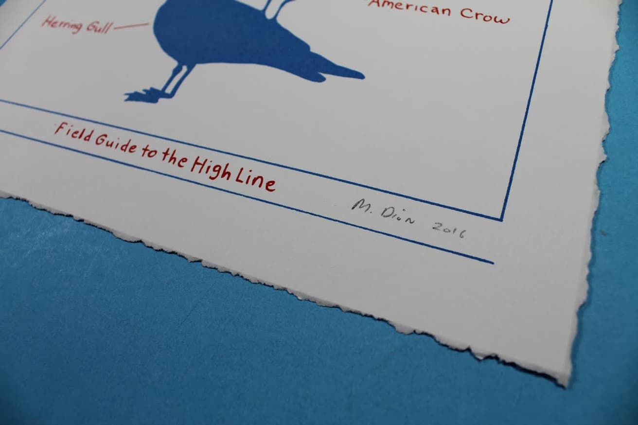 Mark Dion - Birds of the High Line - Printed Matter