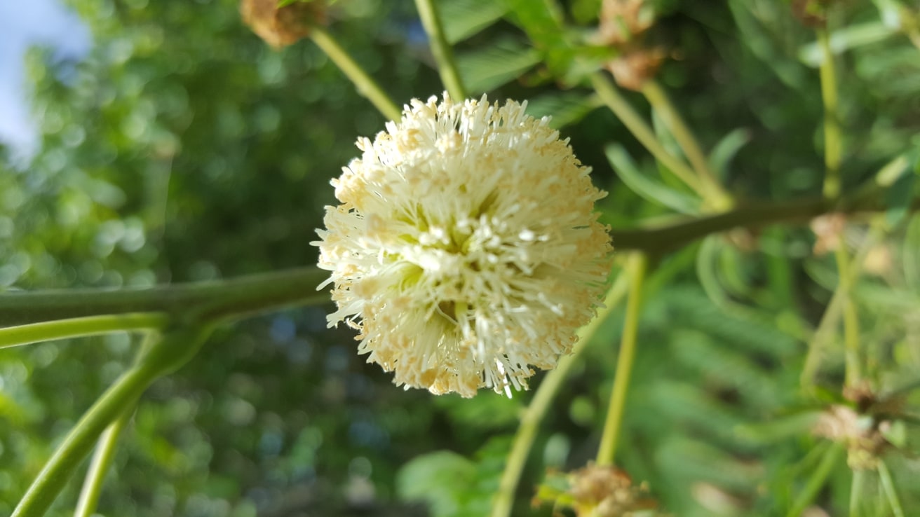 Alice Denney - Punk Art Exhibit Catalogue - Printed Matter