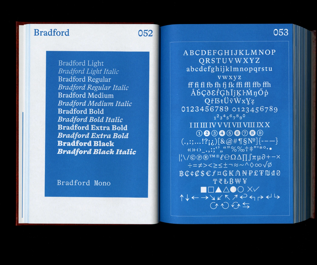 Actual Source - Shoplifters 8: New Type Design (Revised and Expanded Edition) - Printed Matter