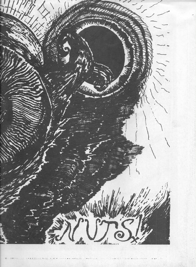 Ben Trogdon - NUTS! #8 - Printed Matter