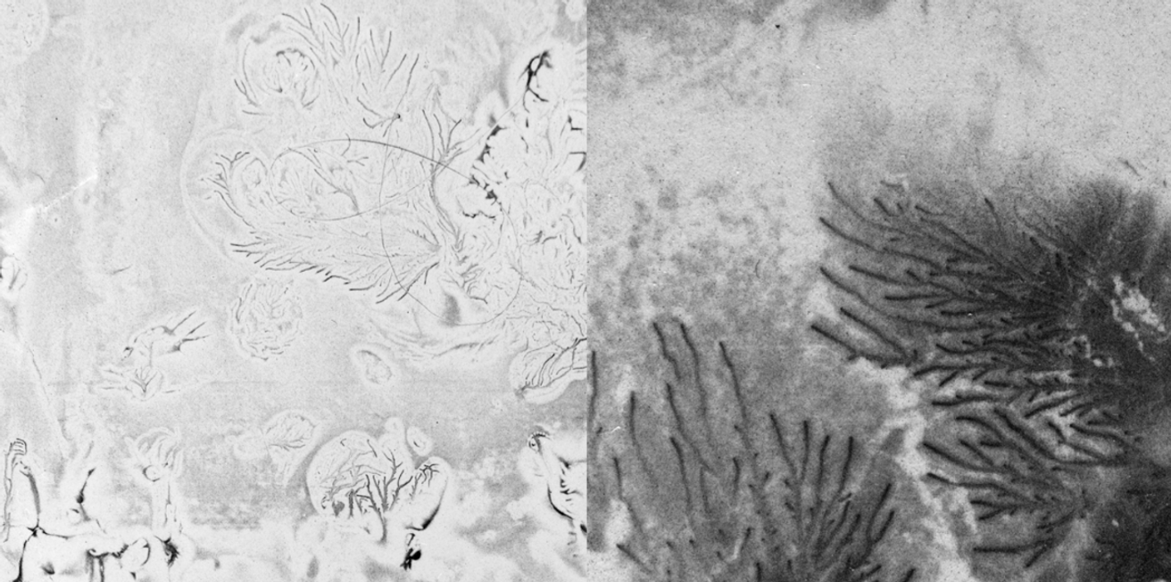 Robin Watkins and Nina Canell - Heliogram - Printed Matter
