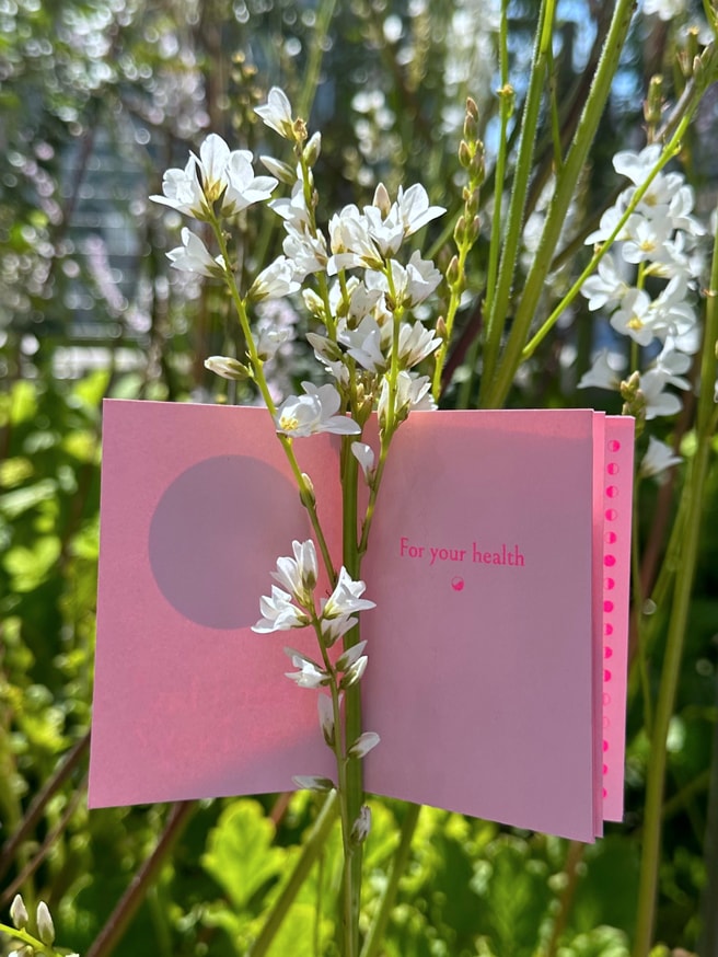 Sharon Zheng - Yeet Hay or Yeet Nay? - Printed Matter