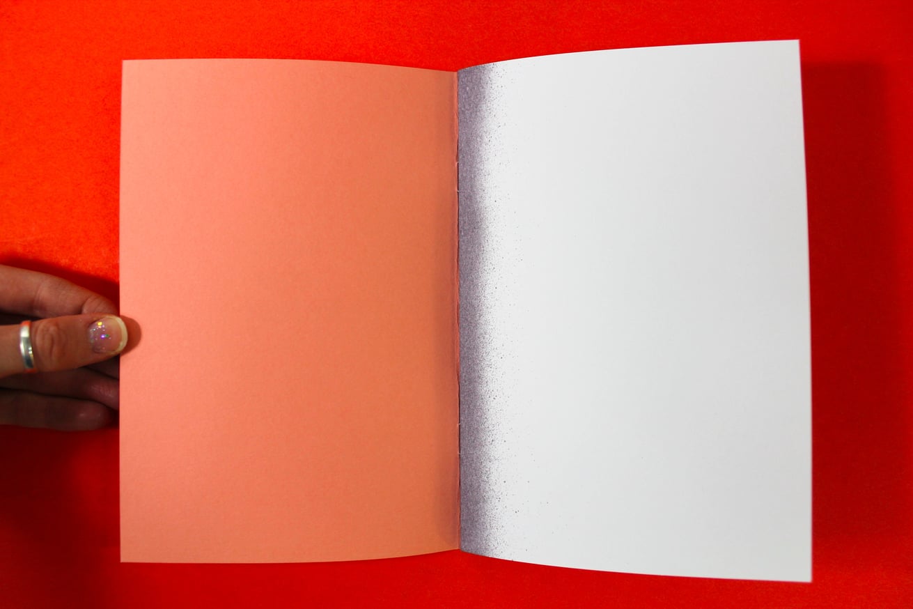 Casey Deming - Salon des Refusés - Printed Matter