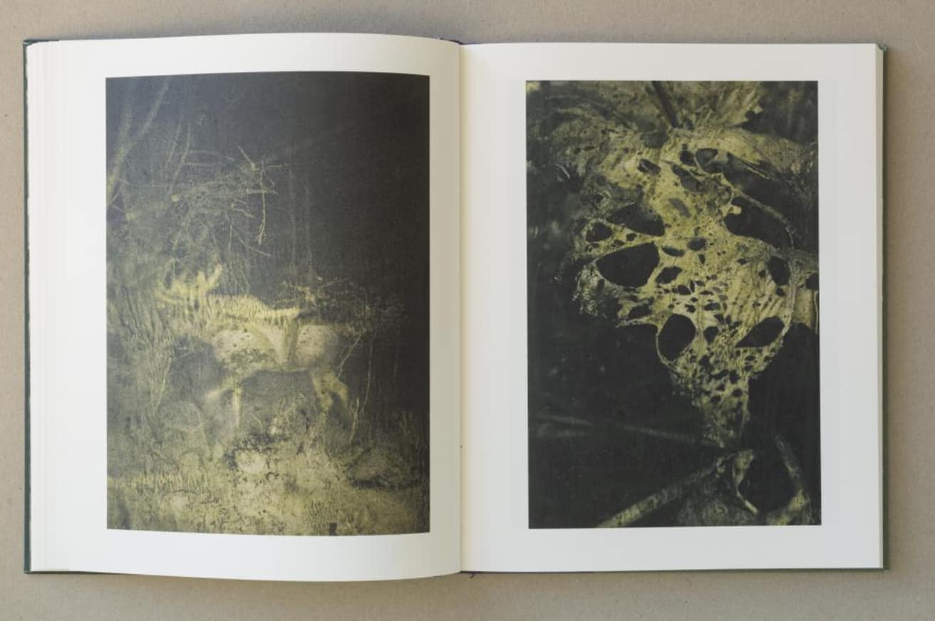 Stephen Gill - Night Procession - Printed Matter