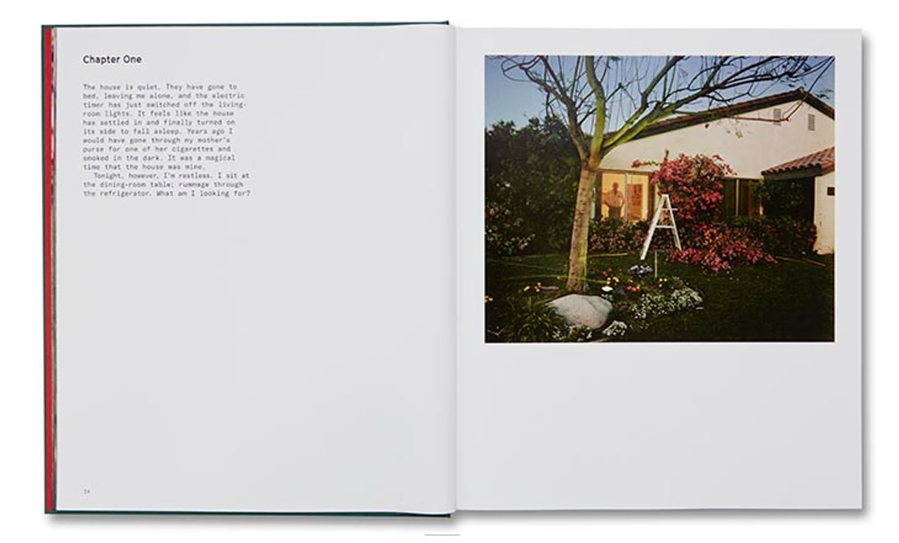 Larry Sultan - Pictures from Home - Printed Matter