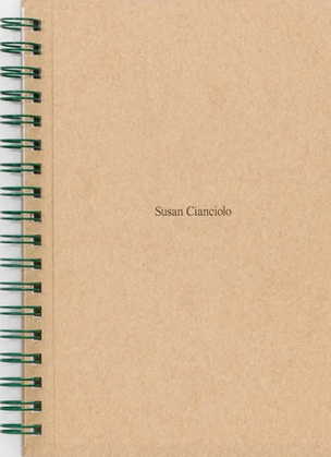 Jesse Ly - Disconnect - Printed Matter