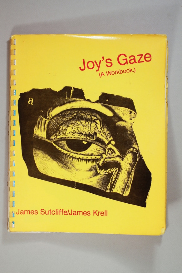 James Sutcliffe - Joy's Gaze - Printed Matter