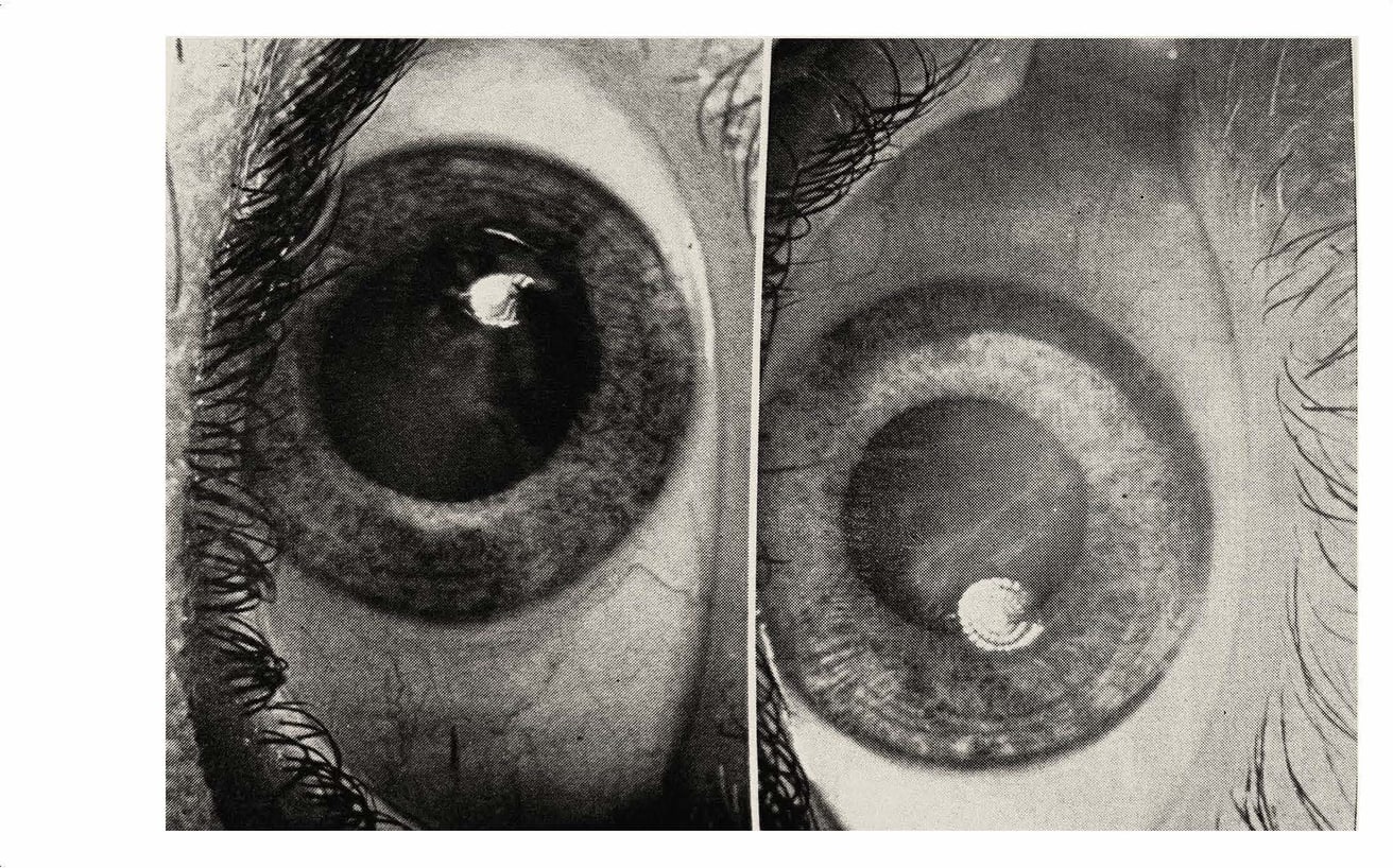 Julie Wolfe - APOPHENIA - Printed Matter