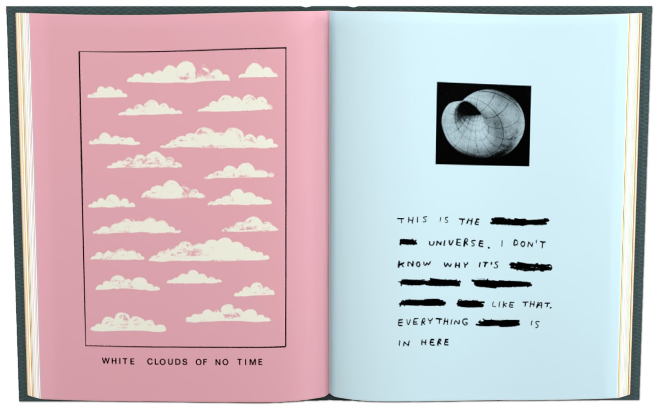 Hiller Goodspeed - Pond Life - Printed Matter