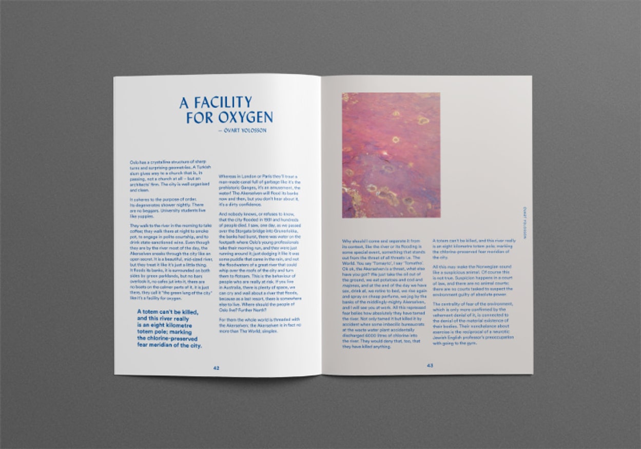 Anaya Latter, editor - Tectonic Magazine - Printed Matter