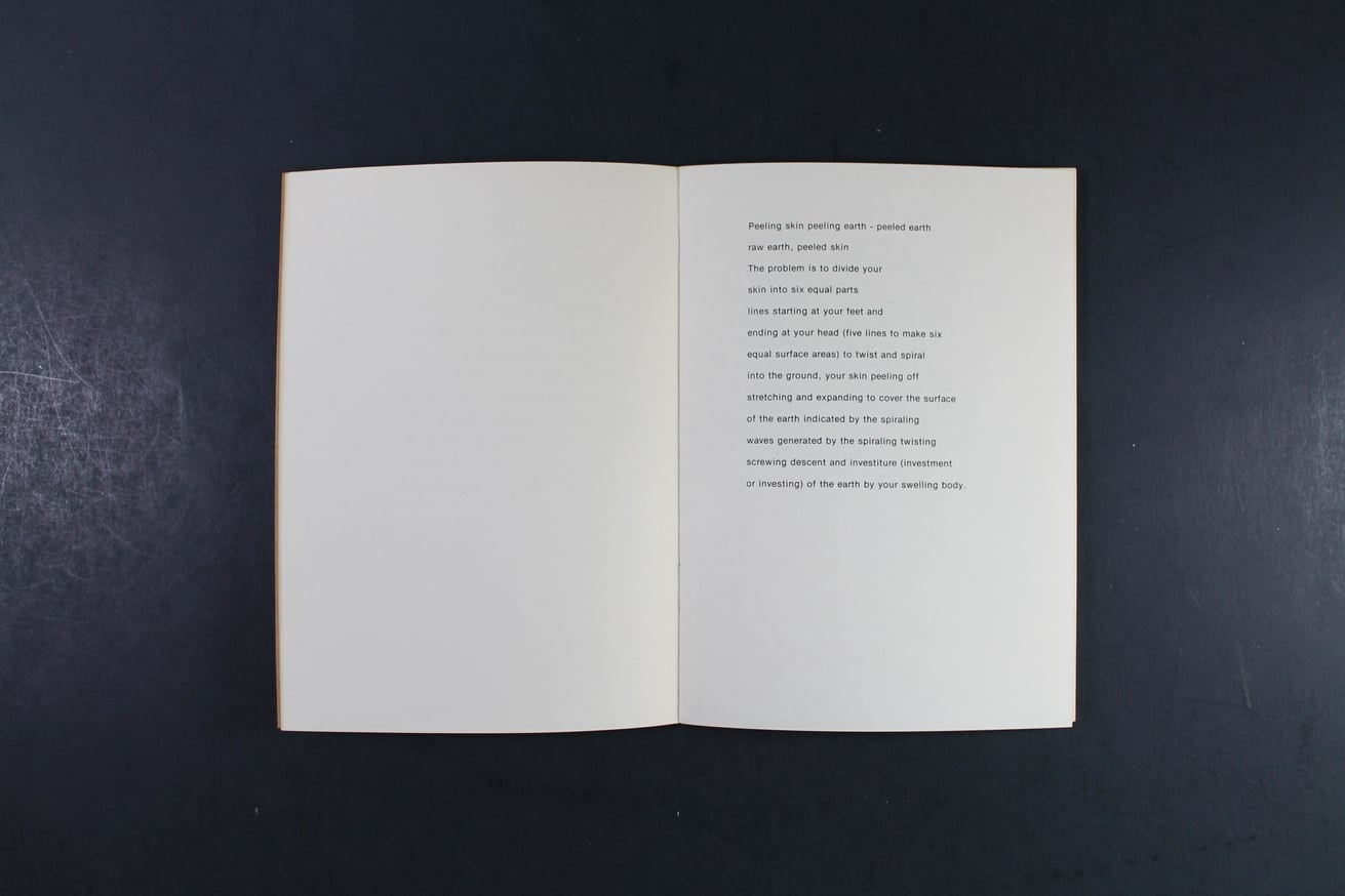 Bruce Nauman - Flayed Earth / Flayed Self : ( Skin / Sink ) - Printed ...