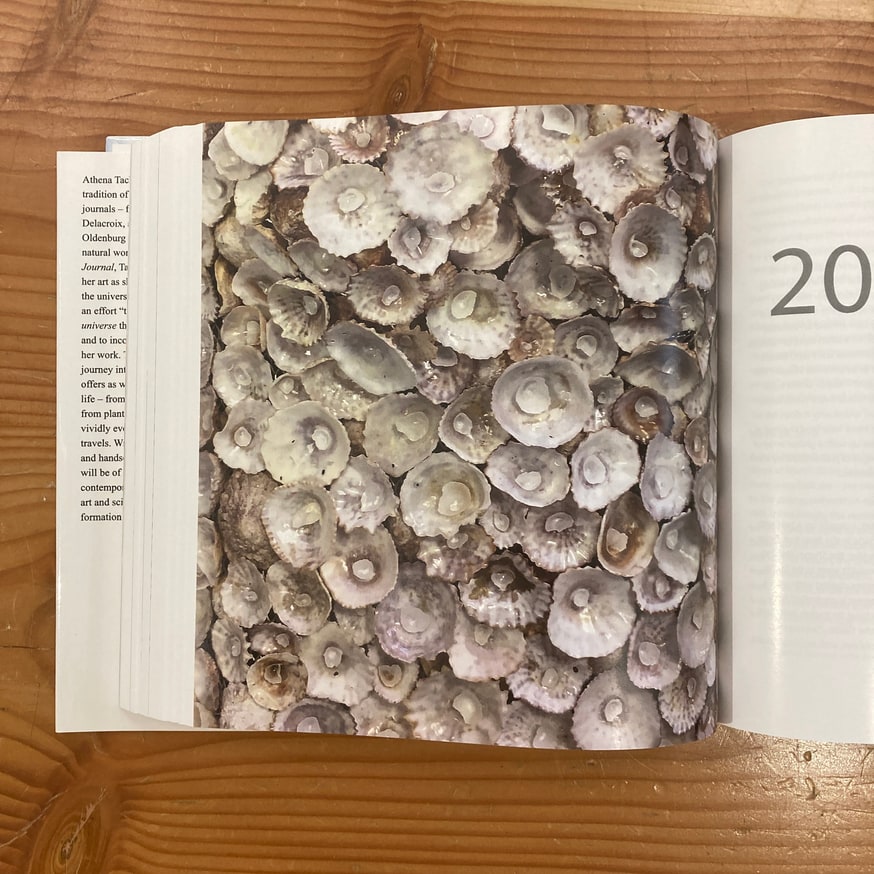 Athena Tacha and Richard Spear - Fifty Years Inside an Artist's Mind ...
