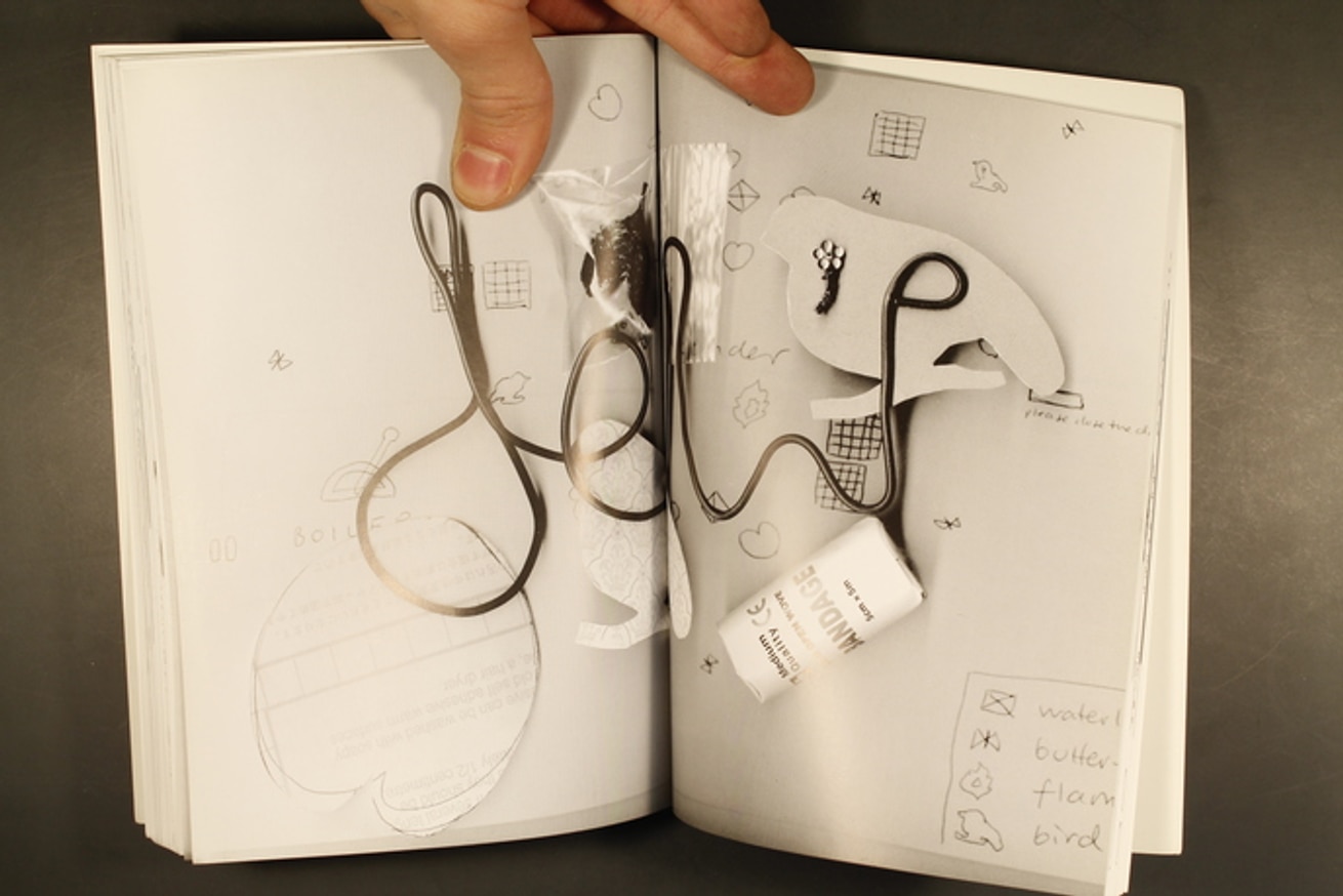 Susan Johanknecht and Redell Olsen - Here Are My Instructions ...