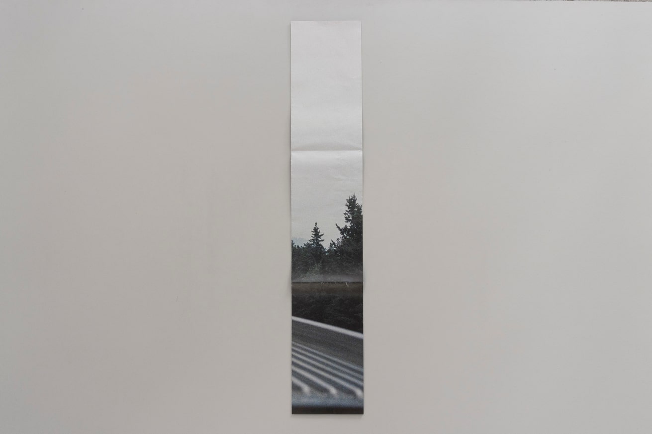 Helena Goñi - 2 flowers, 50p - Printed Matter