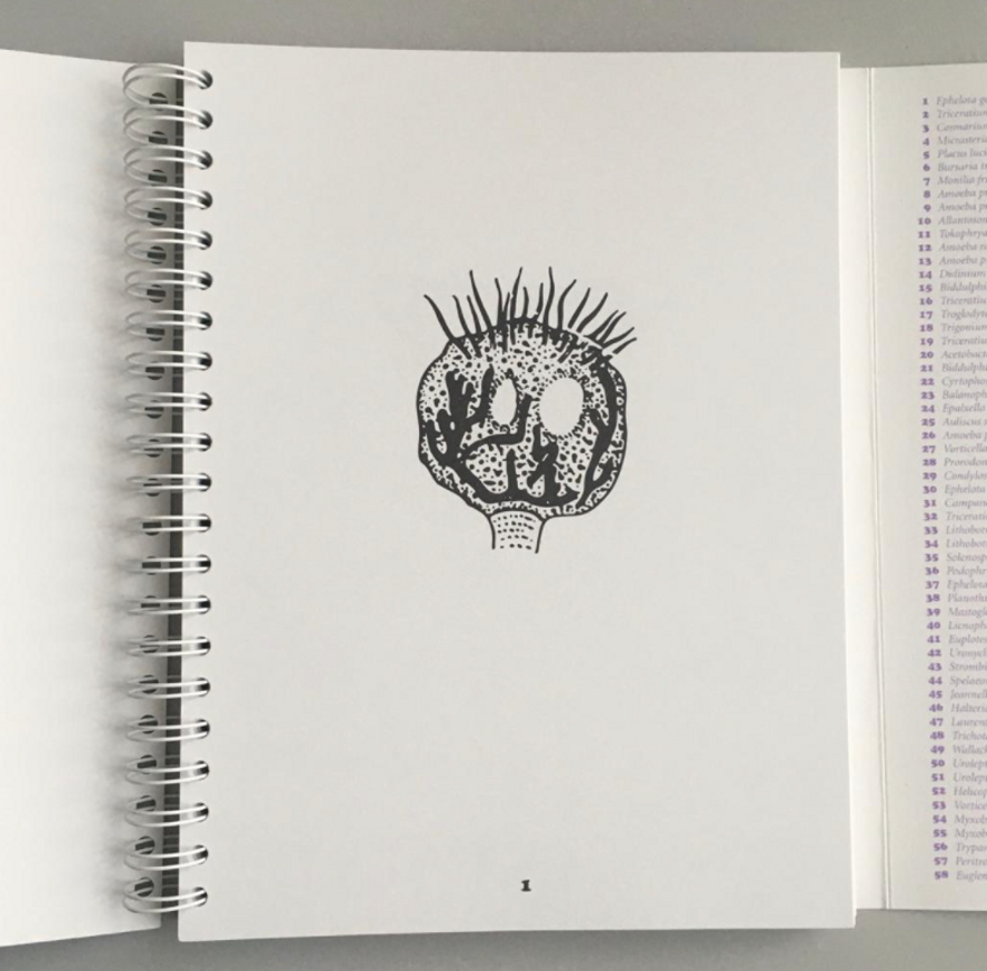 Robin Watkins and Nina Canell - Animalcules Coloring Book - Printed Matter