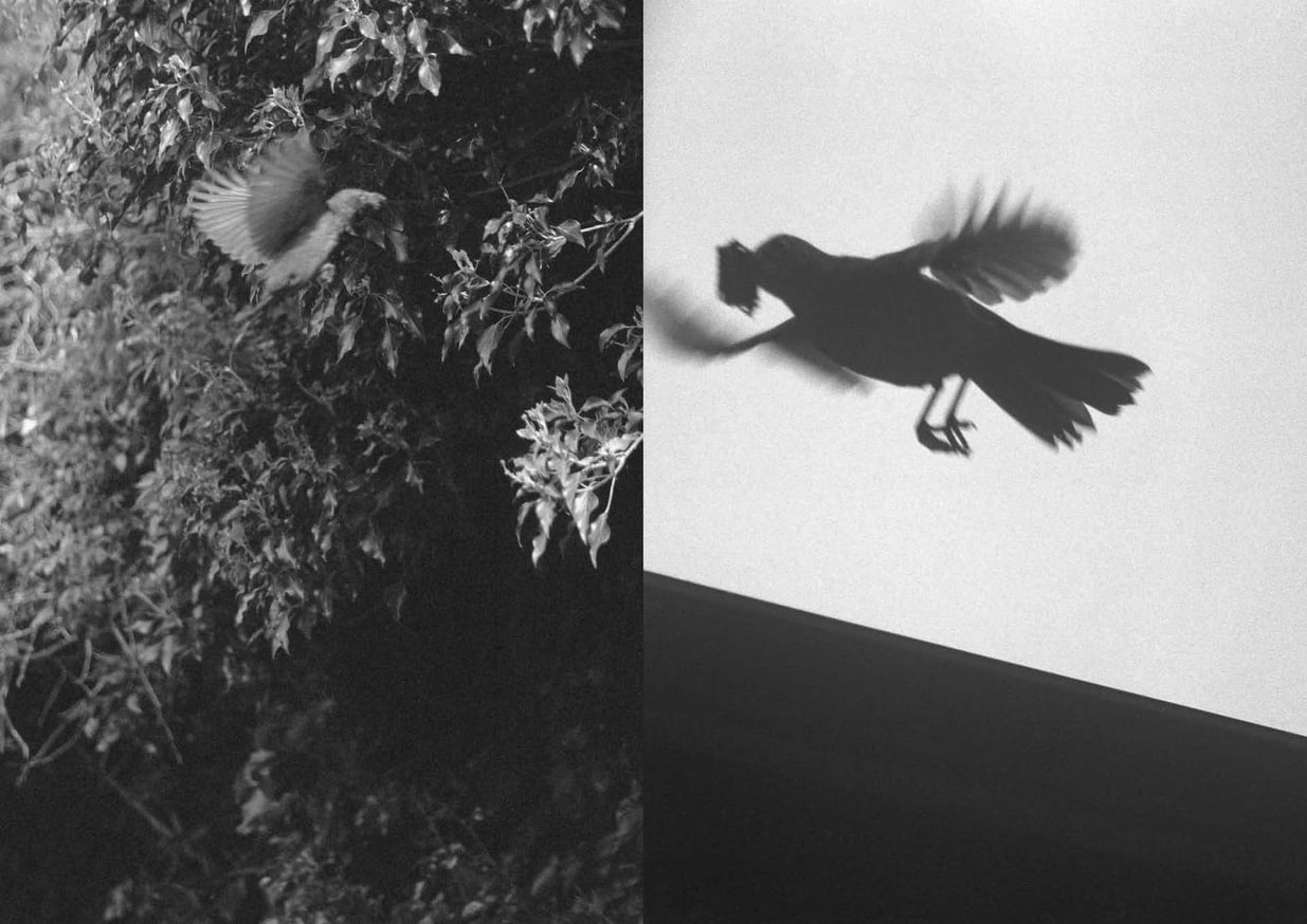 Hapax Magazine - Printed Matter