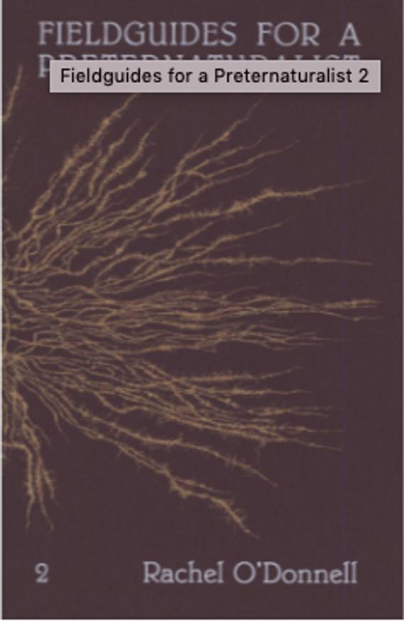 Rachel O'Donnell - Fieldguides for a Preternaturalist 2 - Printed Matter