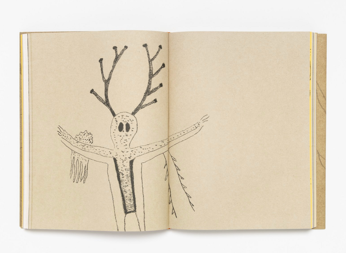 Cecilia Vicuña - Deer Book - Printed Matter