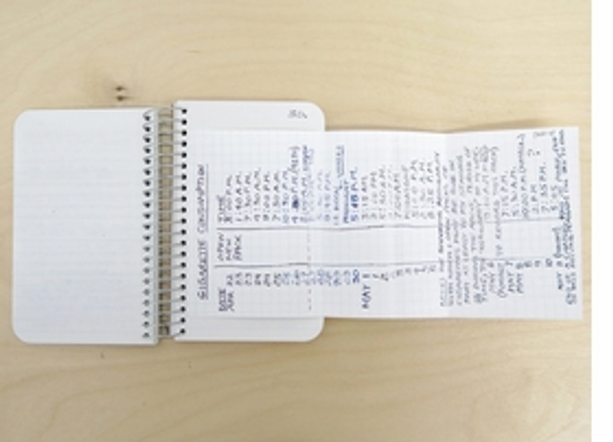 Lee Lozano - Private Book 2 - Printed Matter