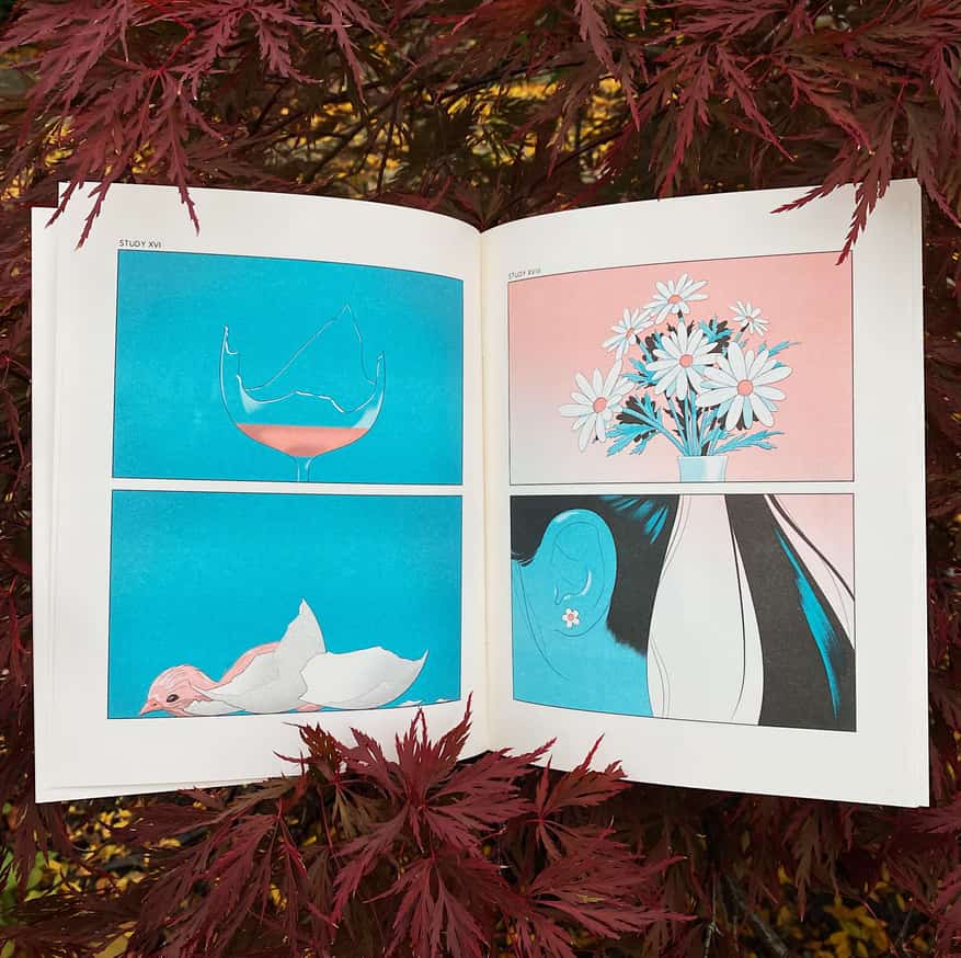 Anuj Shrestha - BOTH / AND - Printed Matter