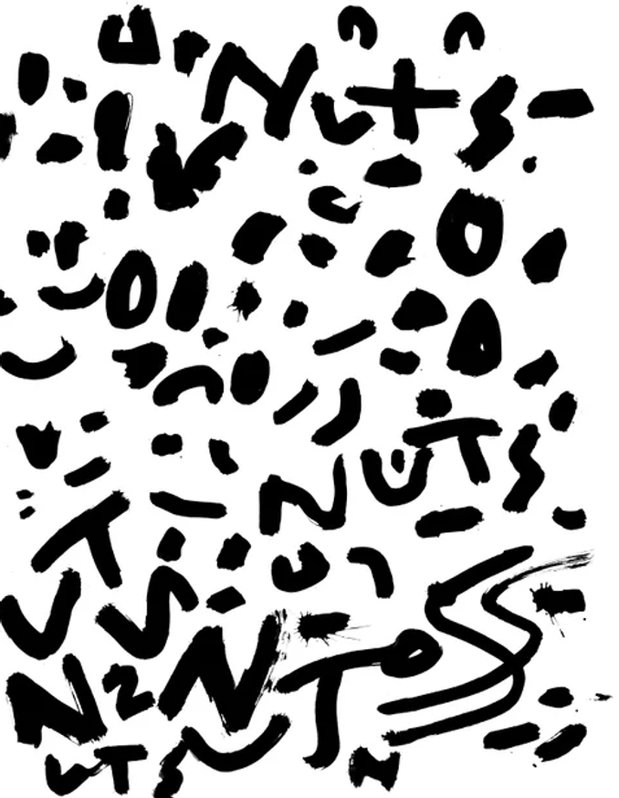 Ben Trogdon - NUTS! #9 - Printed Matter