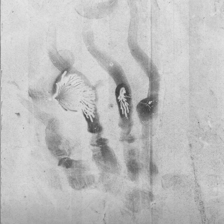 Robin Watkins and Nina Canell - Heliogram - Printed Matter