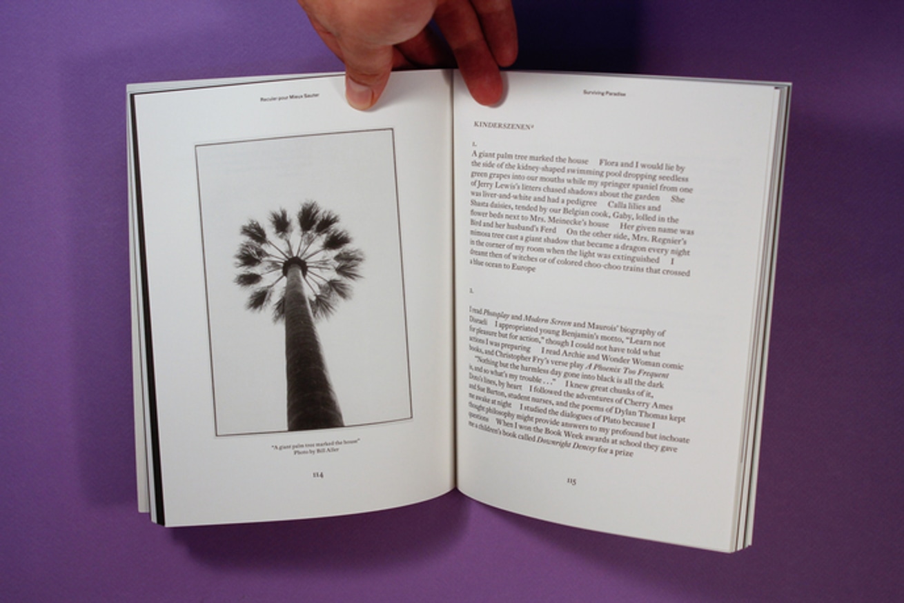 Anne-Marie Levine - Reculer Pour Mieux Sauter - Printed Matter