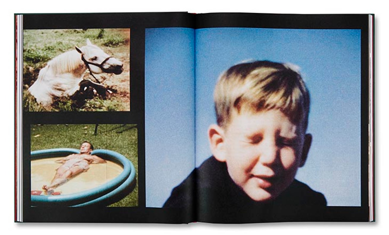 Larry Sultan - Pictures from Home - Printed Matter