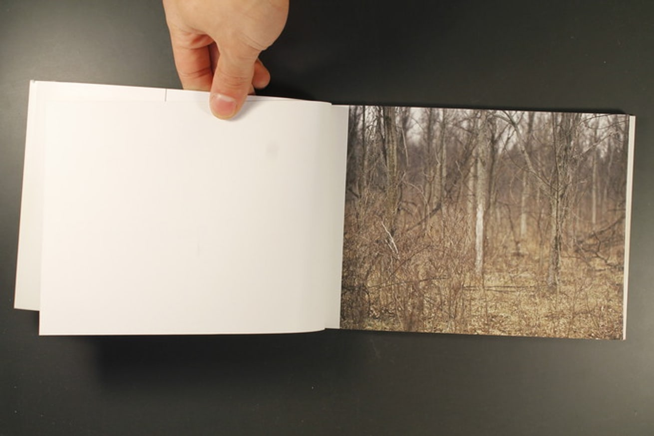 Danielle Mericle - Seneca Ghosts - Printed Matter