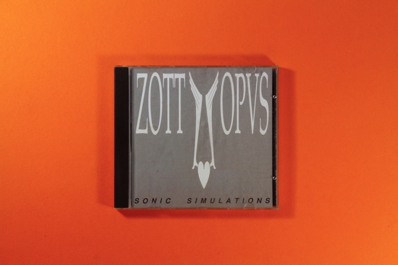Robert Zott - Sonic Sinulations - Printed Matter