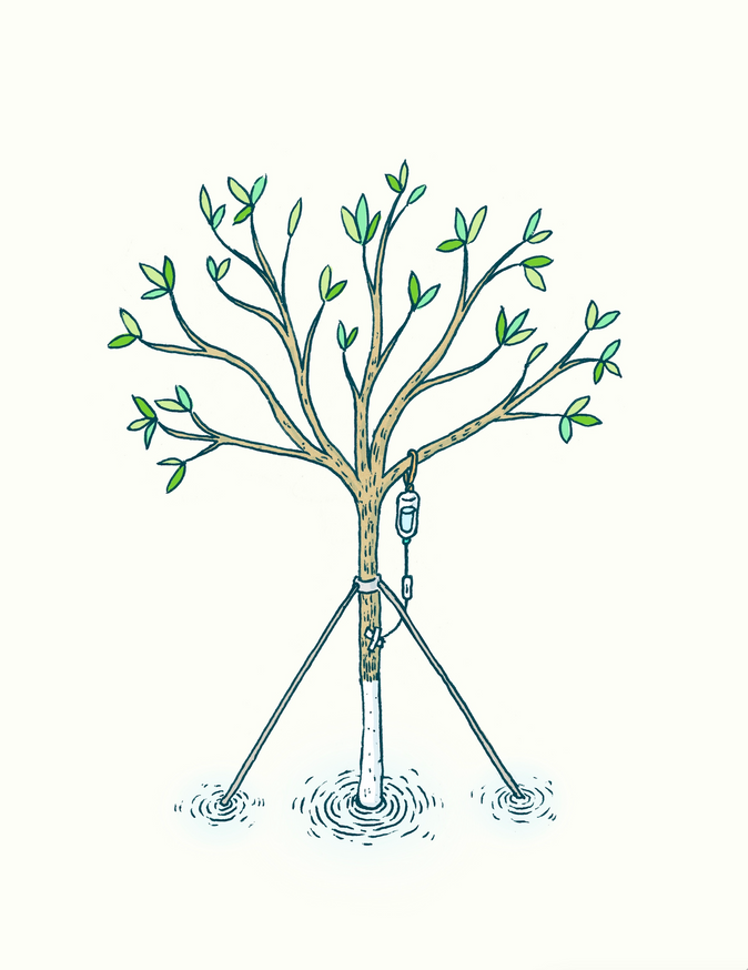 Emily Xinya Wang - Trees in My Life - Printed Matter