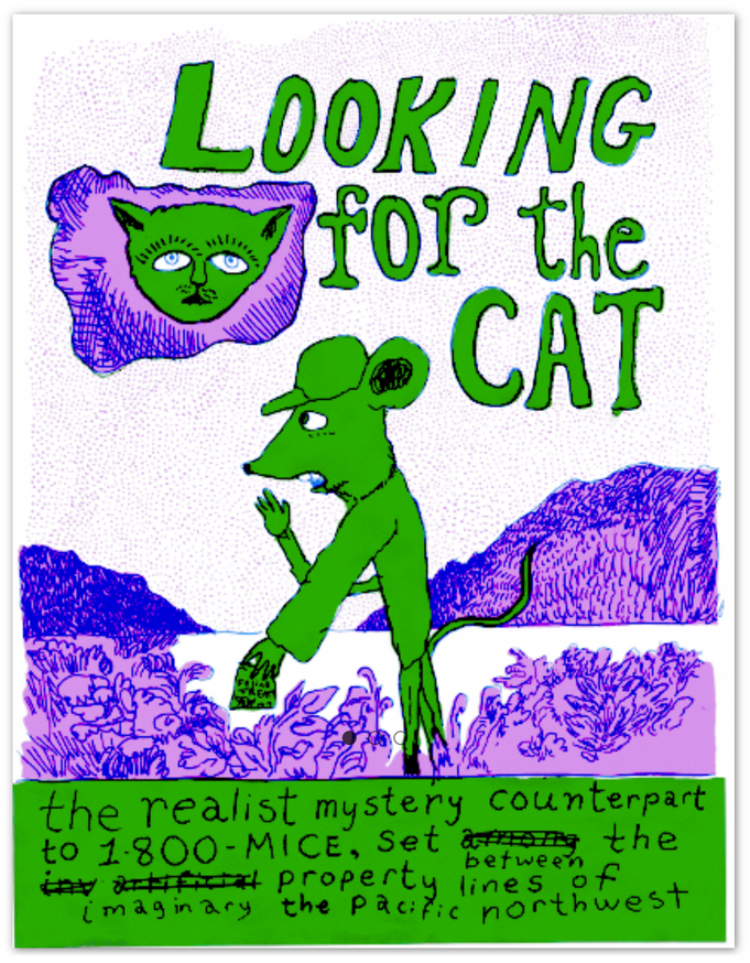 Matthew Thurber - Looking for the Cat - Printed Matter