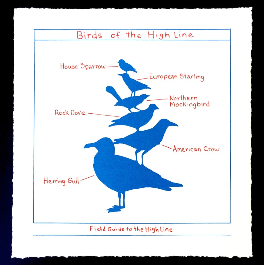 Mark Dion - Birds of the High Line - Printed Matter