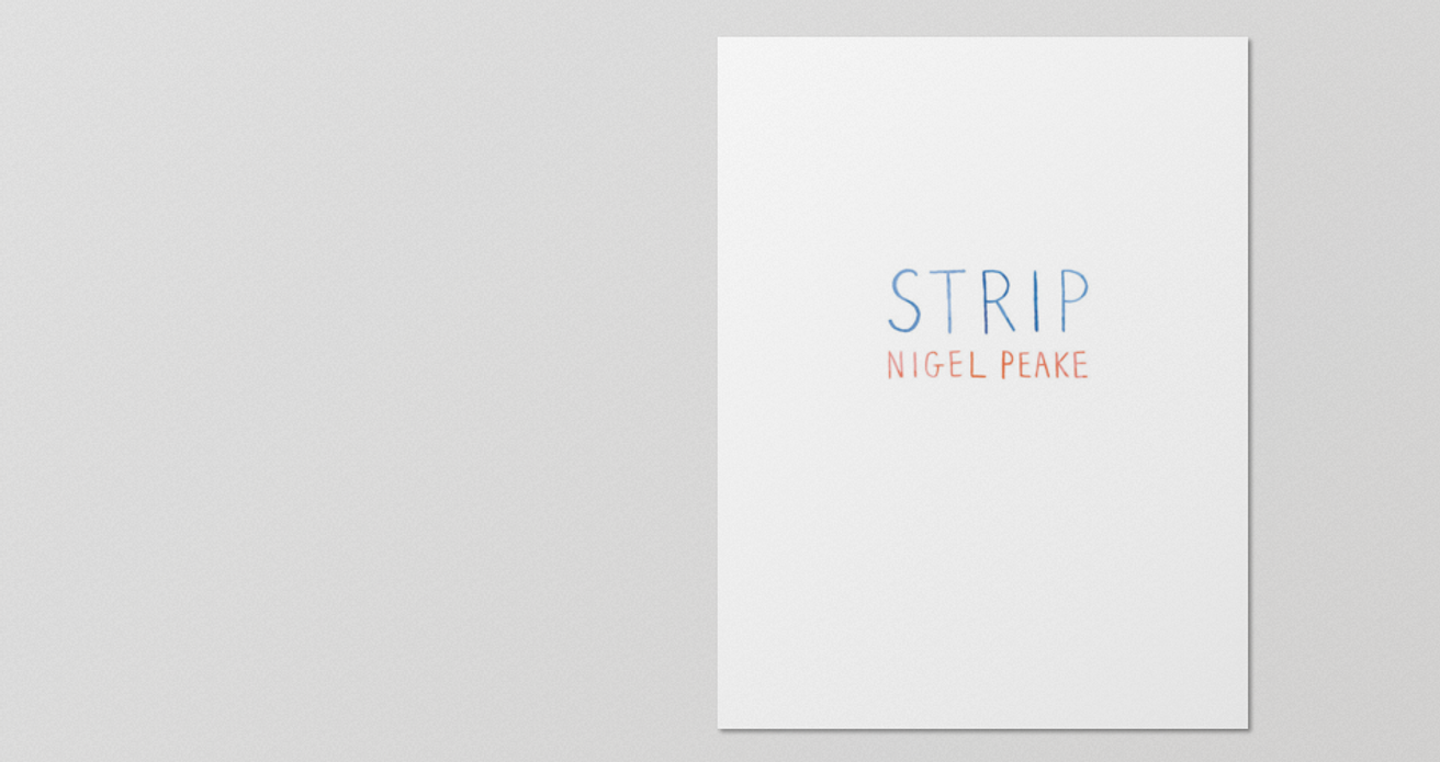 Nigel Peake - STRIP - Printed Matter