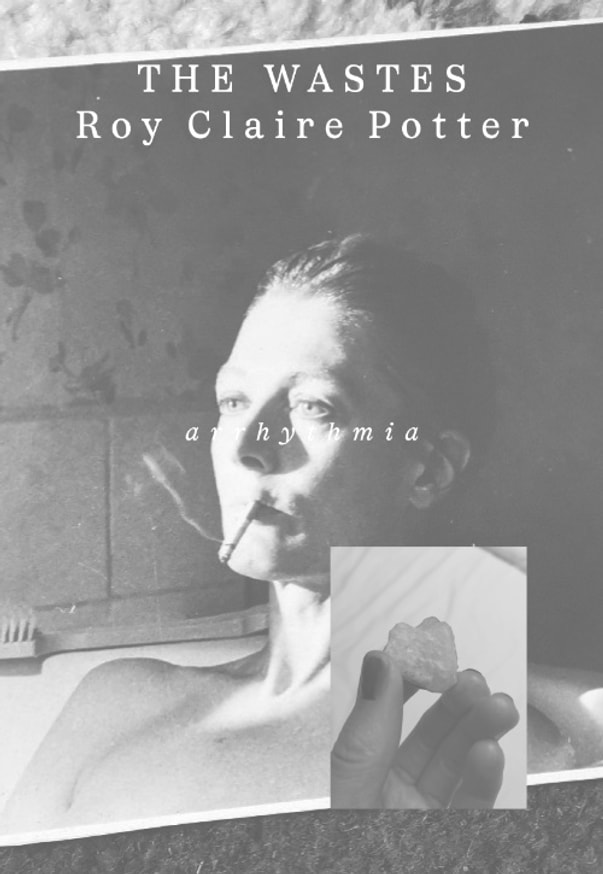 Roy Claire Potter - The Wastes - Printed Matter