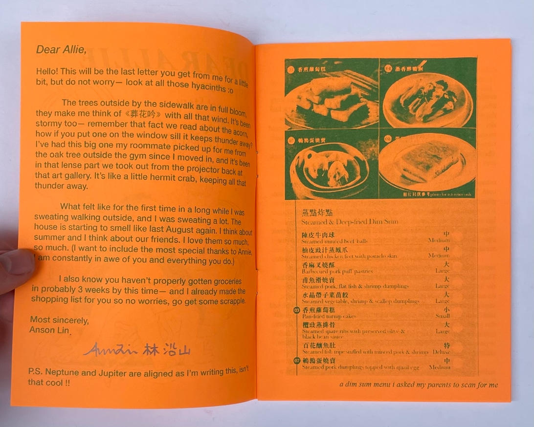 Anson Lin - Dear Allie - Printed Matter