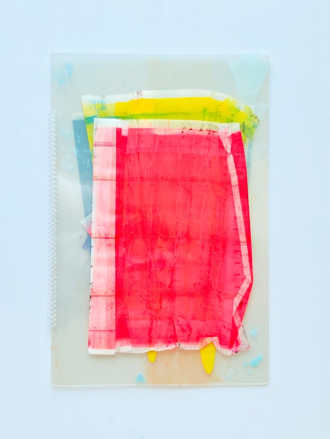 Eva Parra - Riso Color - Printed Matter