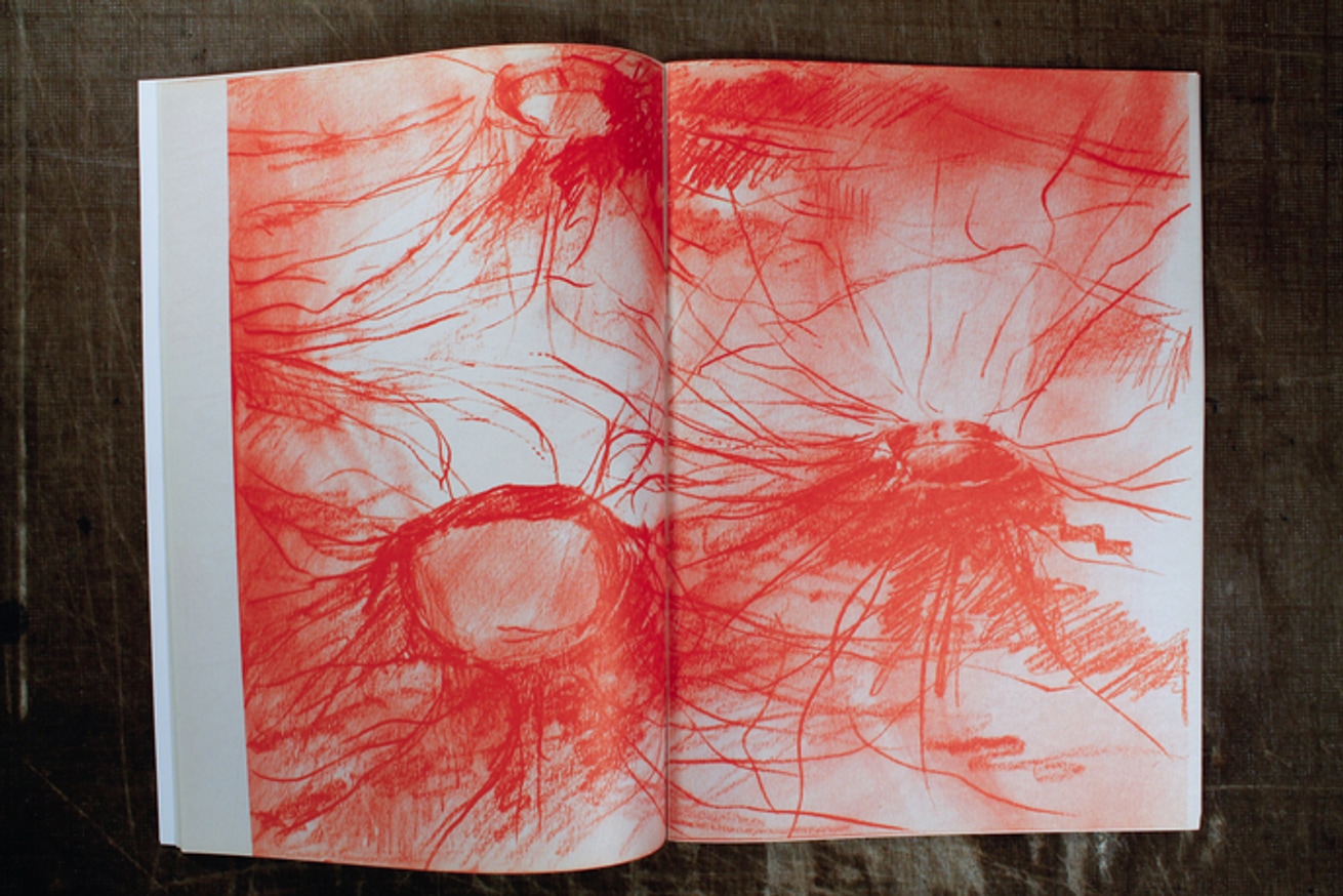 Julien Bismuth and Jean-Pascal Flavien - Starts and Stops - Printed Matter