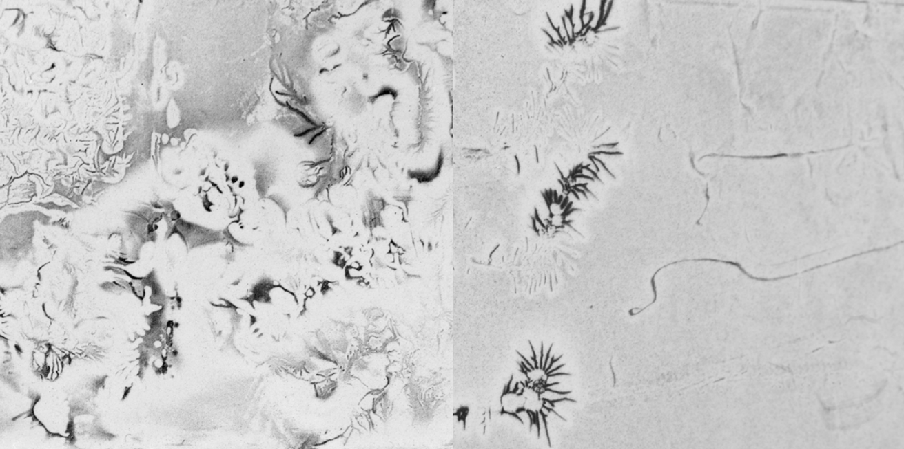 Robin Watkins and Nina Canell - Heliogram - Printed Matter