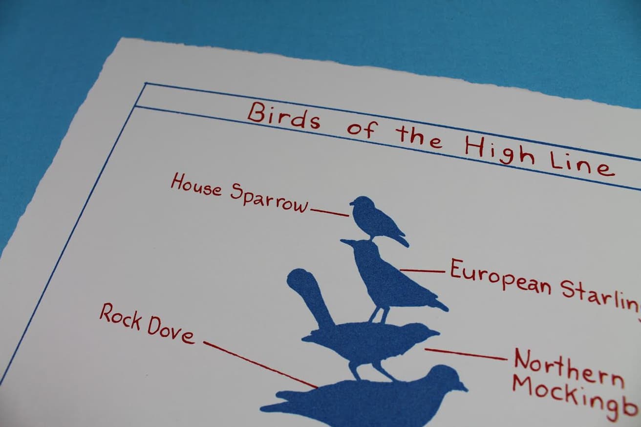 Mark Dion - Birds of the High Line - Printed Matter
